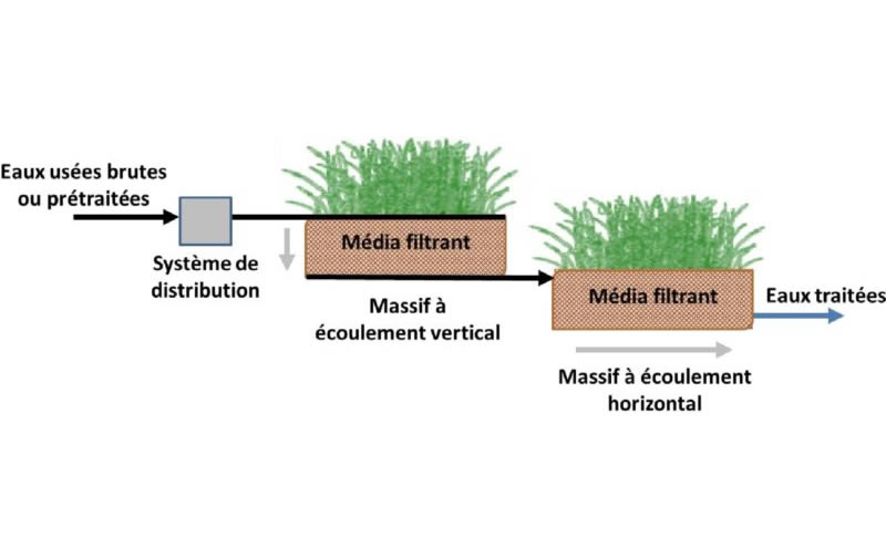 Fiche 7 – Massif filtrant planté - SIAEPA Région d’Arveyres : SIAEPA ...